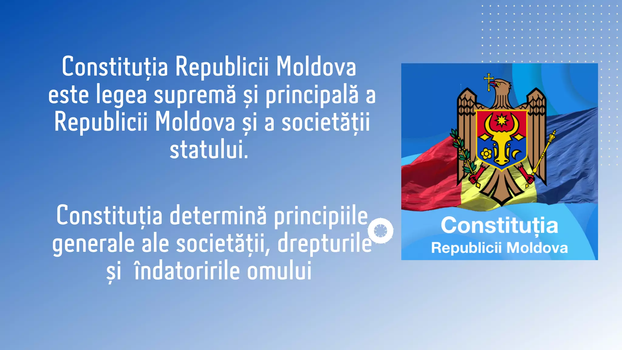 Ce este constitutia? Constituția pe înțelesul copiilor | PDF