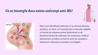 Ce reprezinta rezusul factor , biologie clasa 11 | PPT