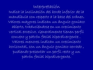 Cefalometría de mc namara | PPT