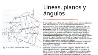 Cefalometría catedra de crecimeinto .pptx