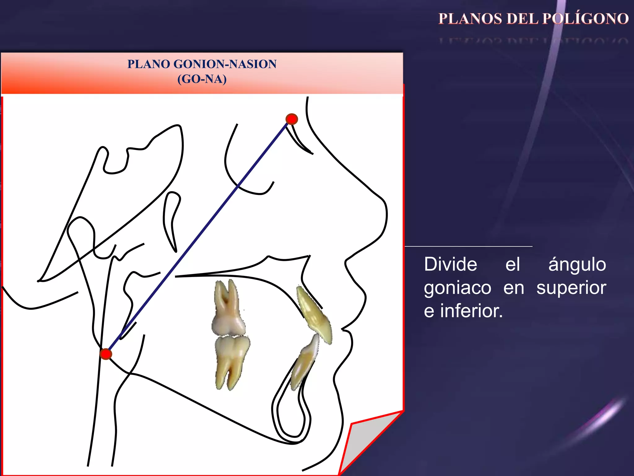 Cefalometria Björk Jarabak | PPTX