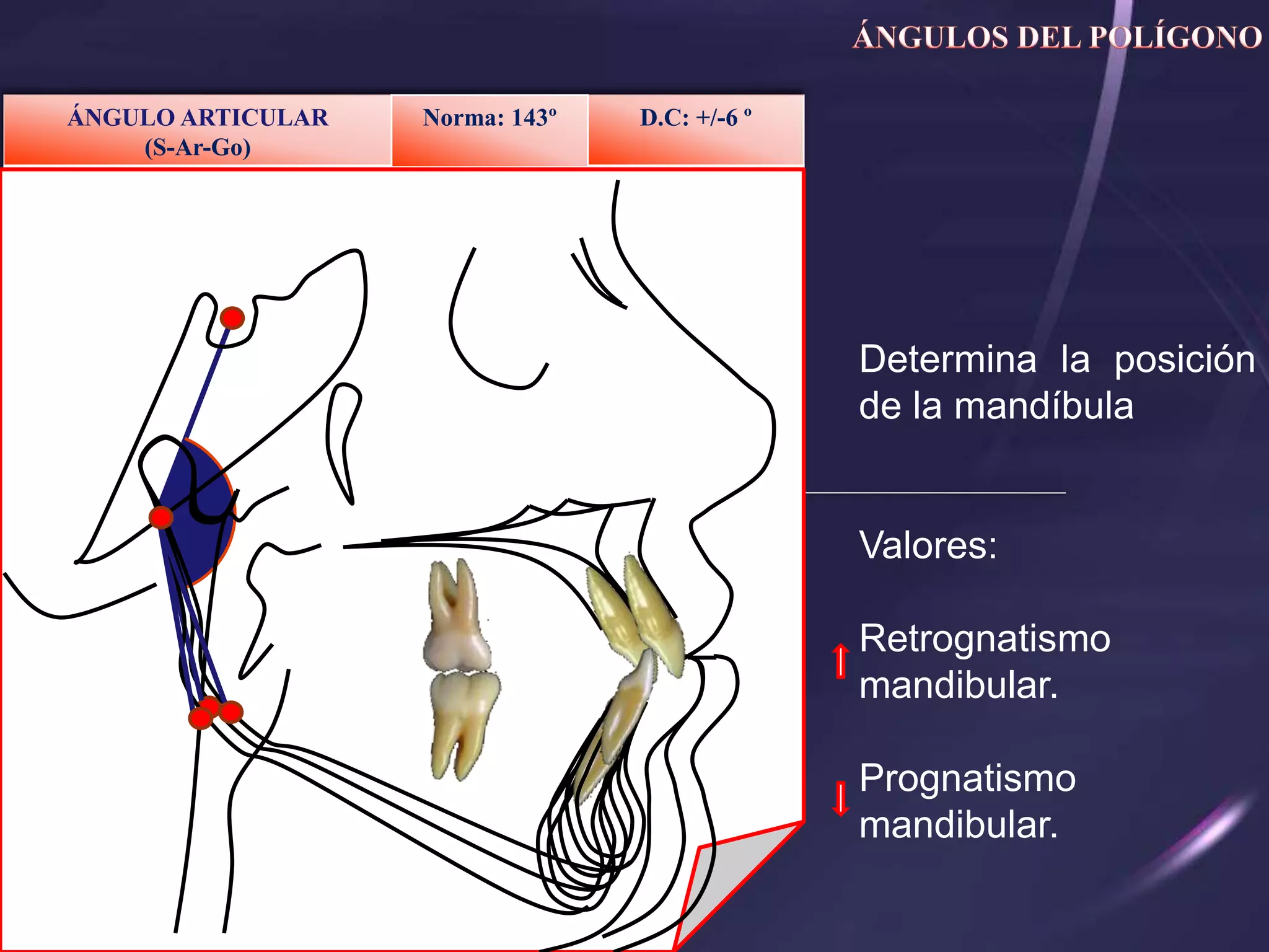 Cefalometria Björk Jarabak | PPTX