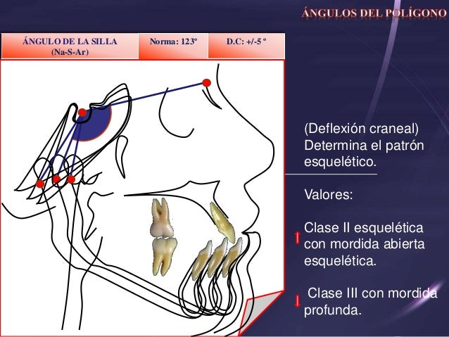 Cefalometria Björk Jarabak