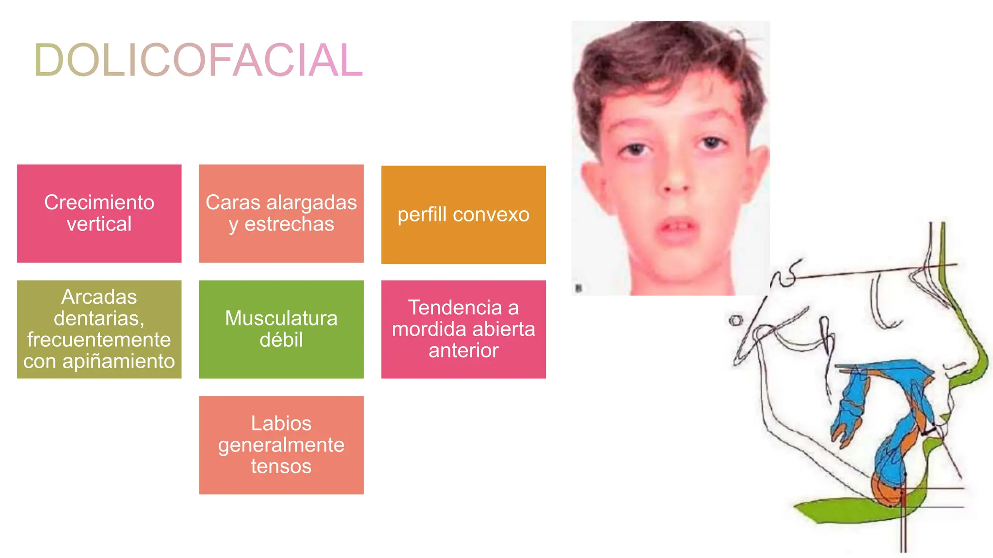 CEFALOMETRIA DEL BIOTIPO FACIAL ortodonciapptx | PPTX