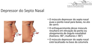 cefalometria, envelhecimento e anestesia.pptx