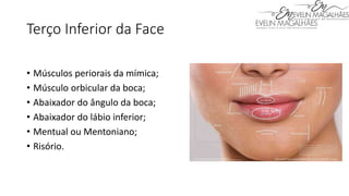 cefalometria, envelhecimento e anestesia.pptx