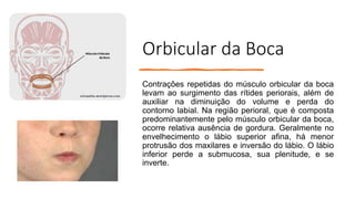 cefalometria, envelhecimento e anestesia.pptx