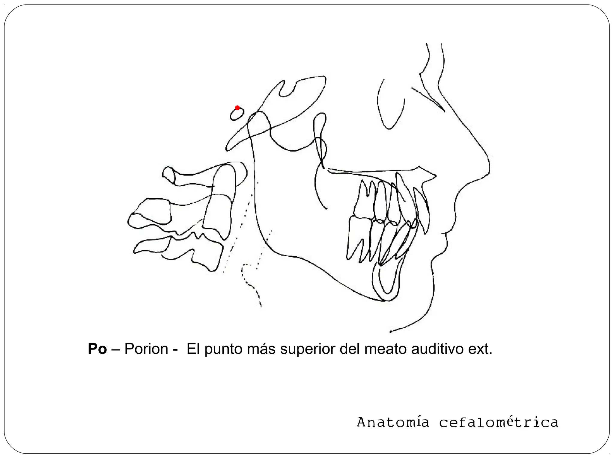 Cefalometria puntos y planos | PPT