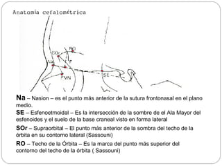 Cefalometria puntos y planos | PPT