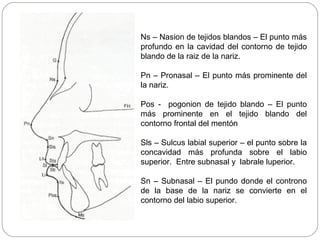 Cefalometria puntos y planos | PPT