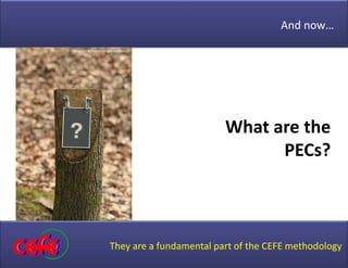 Personal Entrepreneurial Characteristics (PECs) CEFE Methodology | PPT
