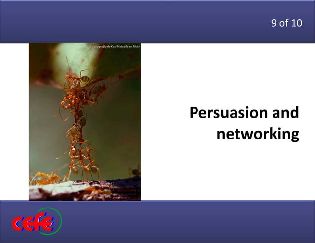 Personal Entrepreneurial Characteristics PECs CEFE Methodology personal-entrepreneurial-characteristics-pecs-cefe-methodology