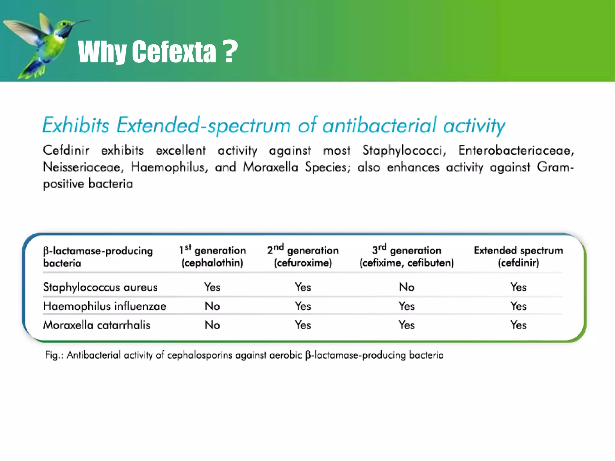 Cefexta (Cefdinir) an extended spectrum antibiotic | PPTX
