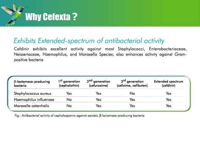Cefexta (Cefdinir) an extended spectrum antibiotic | PPTX | Ear, Nose ...