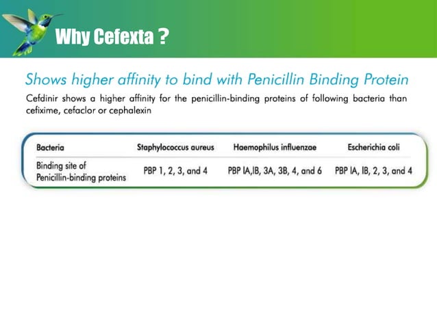 Cefexta (Cefdinir) an extended spectrum antibiotic | PPTX | Ear, Nose ...
