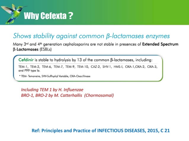 Cefexta (Cefdinir) an extended spectrum antibiotic | PPTX | Ear, Nose ...