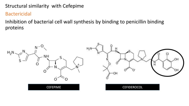 Cefiderocol - Dr. ANCY GEORGE | PPTX | Infectious Diseases | Diseases ...