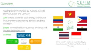 CEFIM Industry Indonesia.pdf