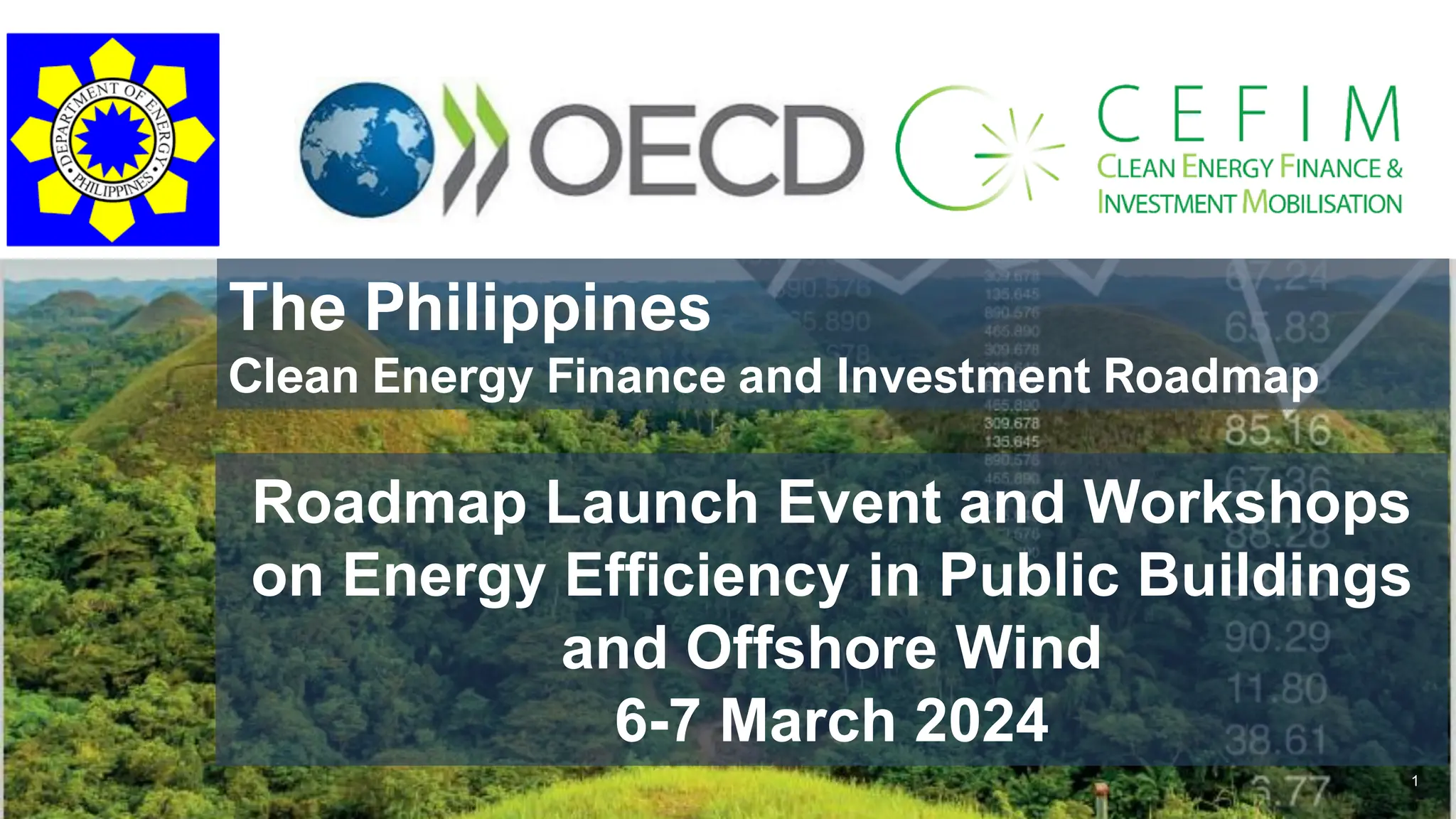 Clean Energy Finance and Investment Roadmap OECD.pdf