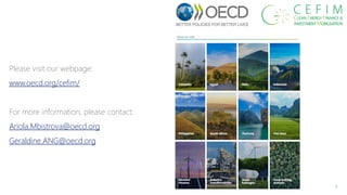 Clean Energy Finance and Investment Roadmap OECD.pdf