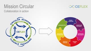 CEFLEX: A Roadmap for Flexible Packaging in a Circular Economy (Oct ...