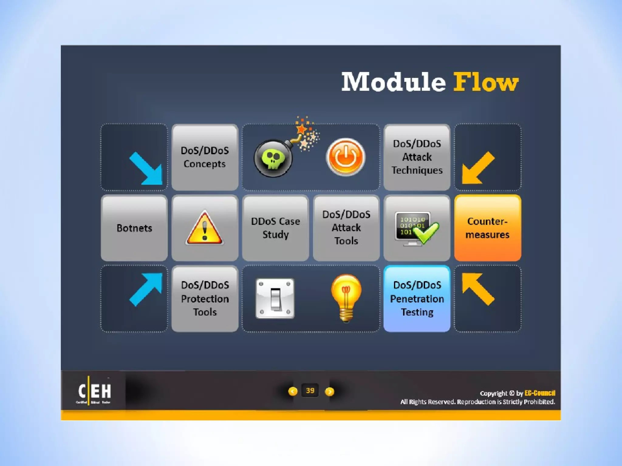 CEH - Module 10 : Denial of Service | PPT | Internet | Computing