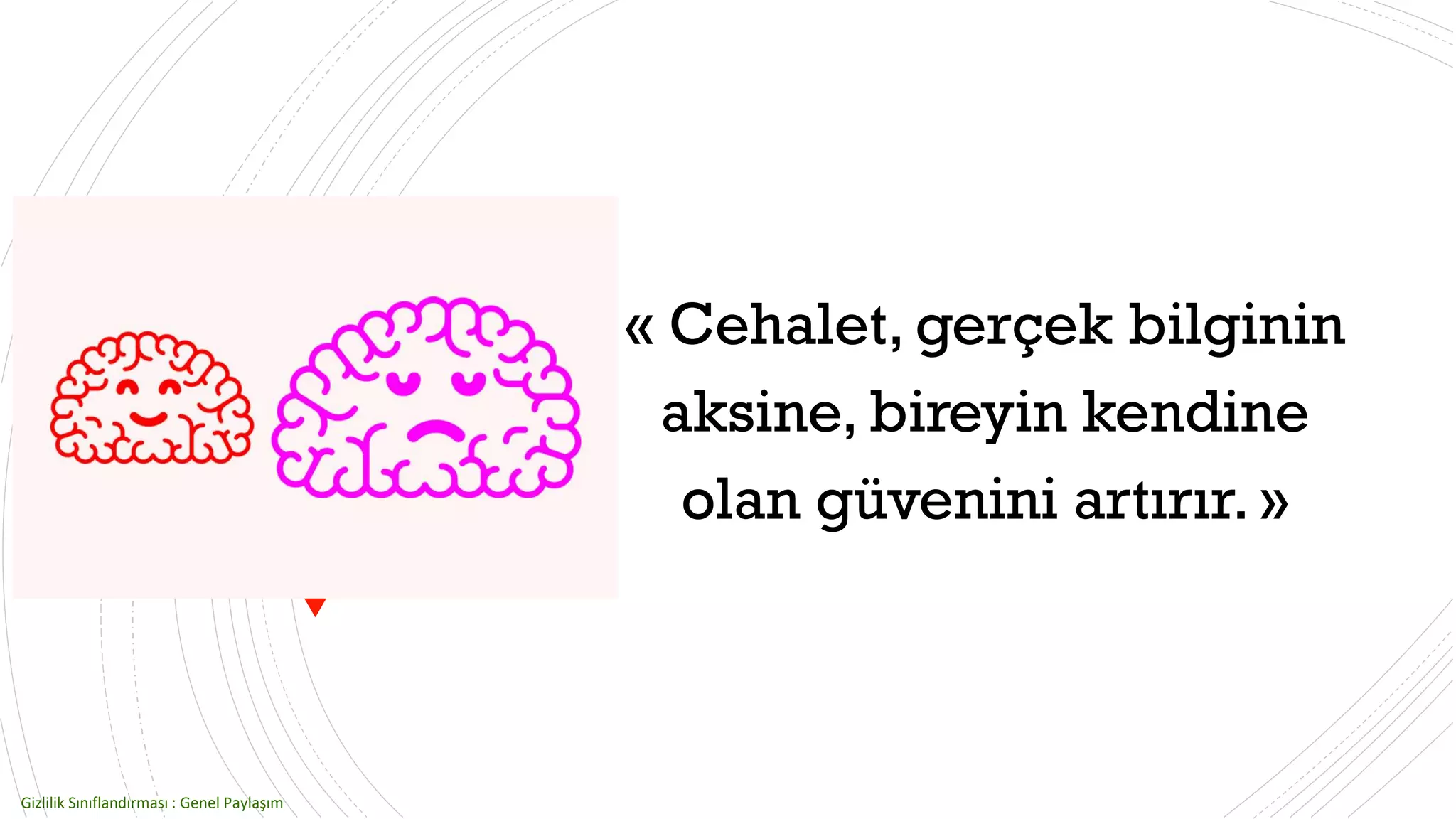 Cehalet mutluluk mudur | PDF