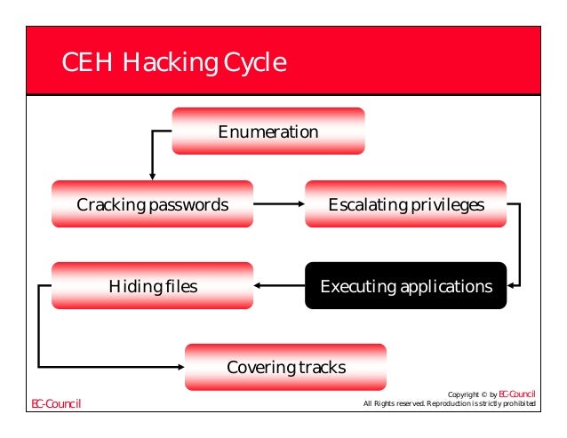 Ceh v5 module 05 system hacking