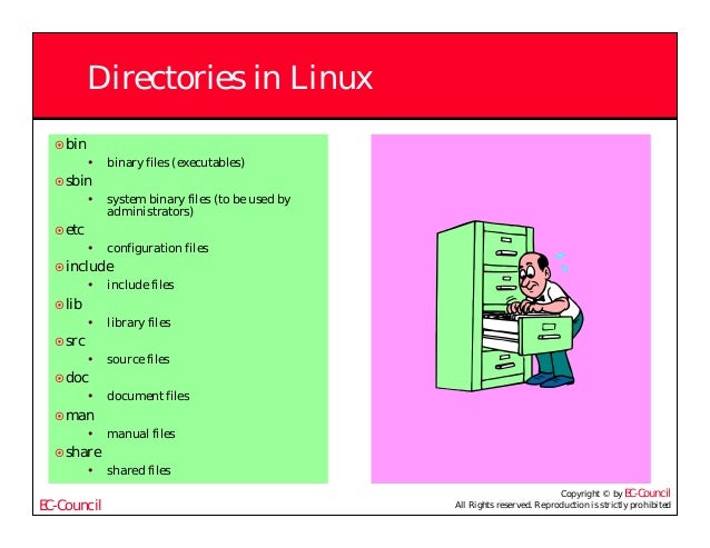 Ceh v5 module 18 linux hacking