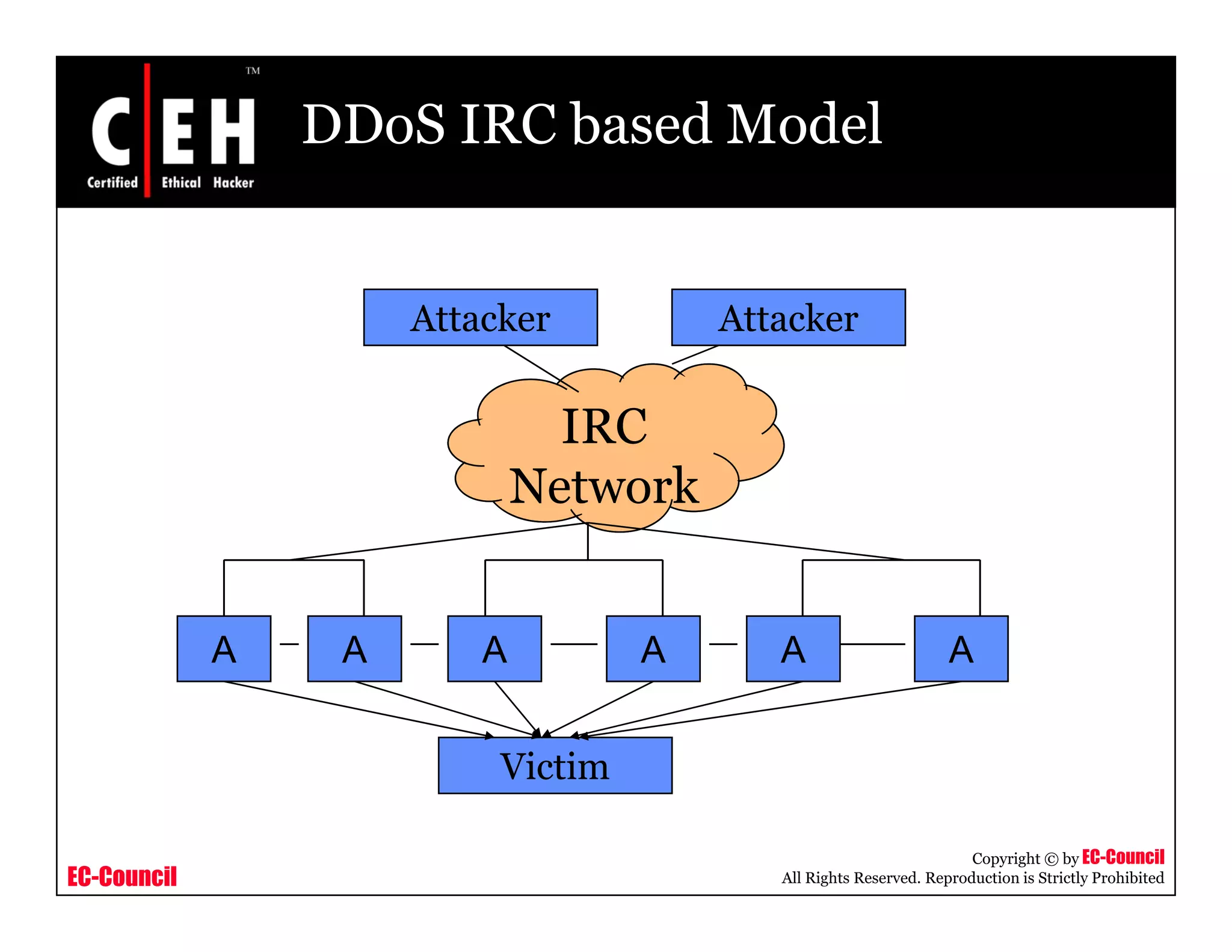 Ce hv6 module 14 denial of service TH3 professional security | PDF ...