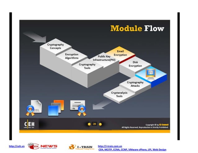 Ce hv7 module 18 cryptography | PDF