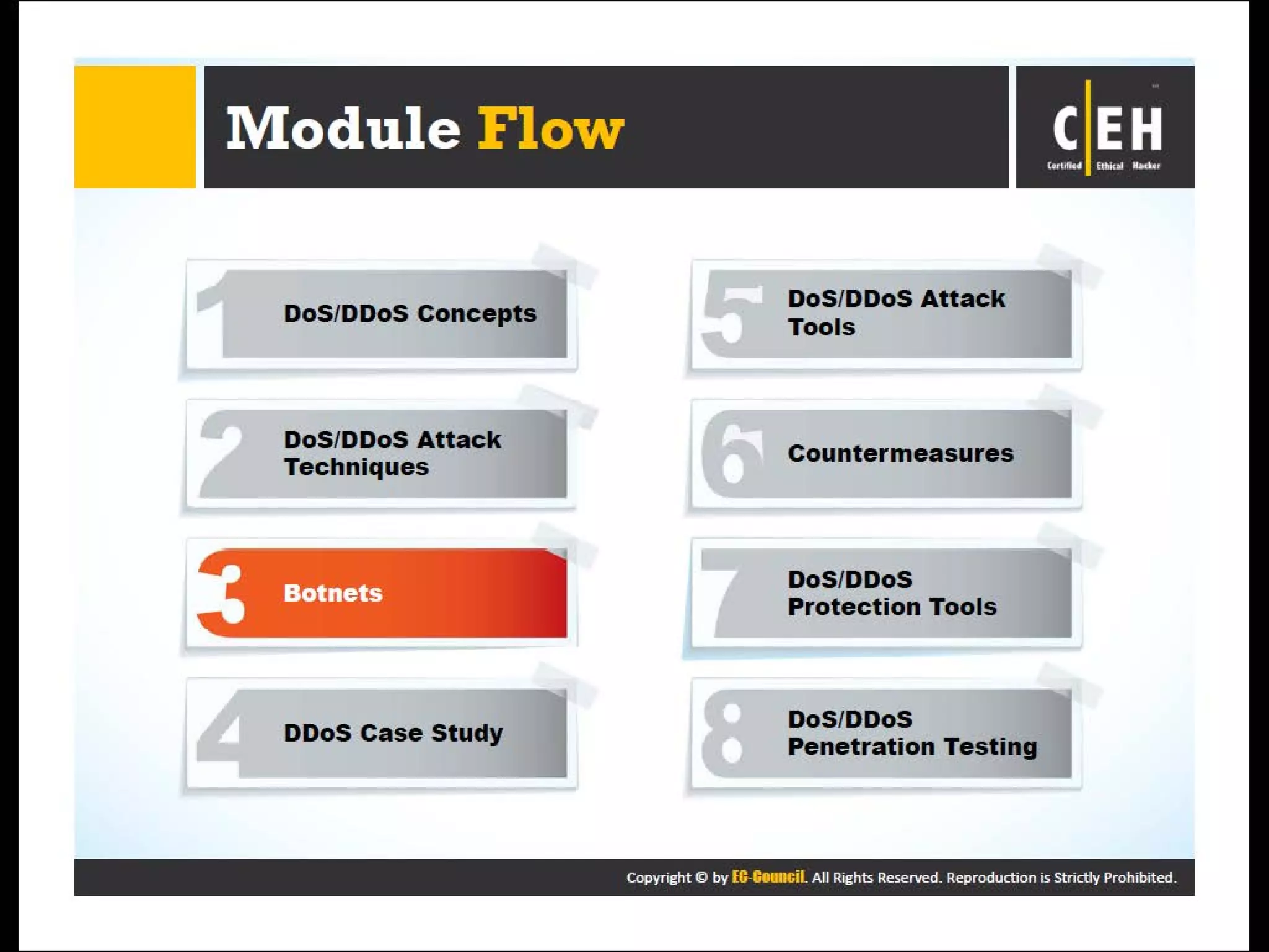 CEHv9 : module 09 : denial of service | PDF