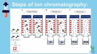 Ion Exchange Chromatography presentation.pptx