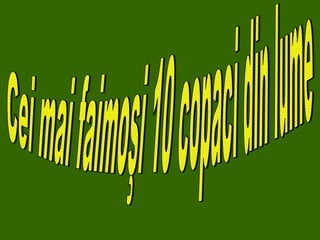 Cei mai faimosi 10 copaci din lume (1) | PPS