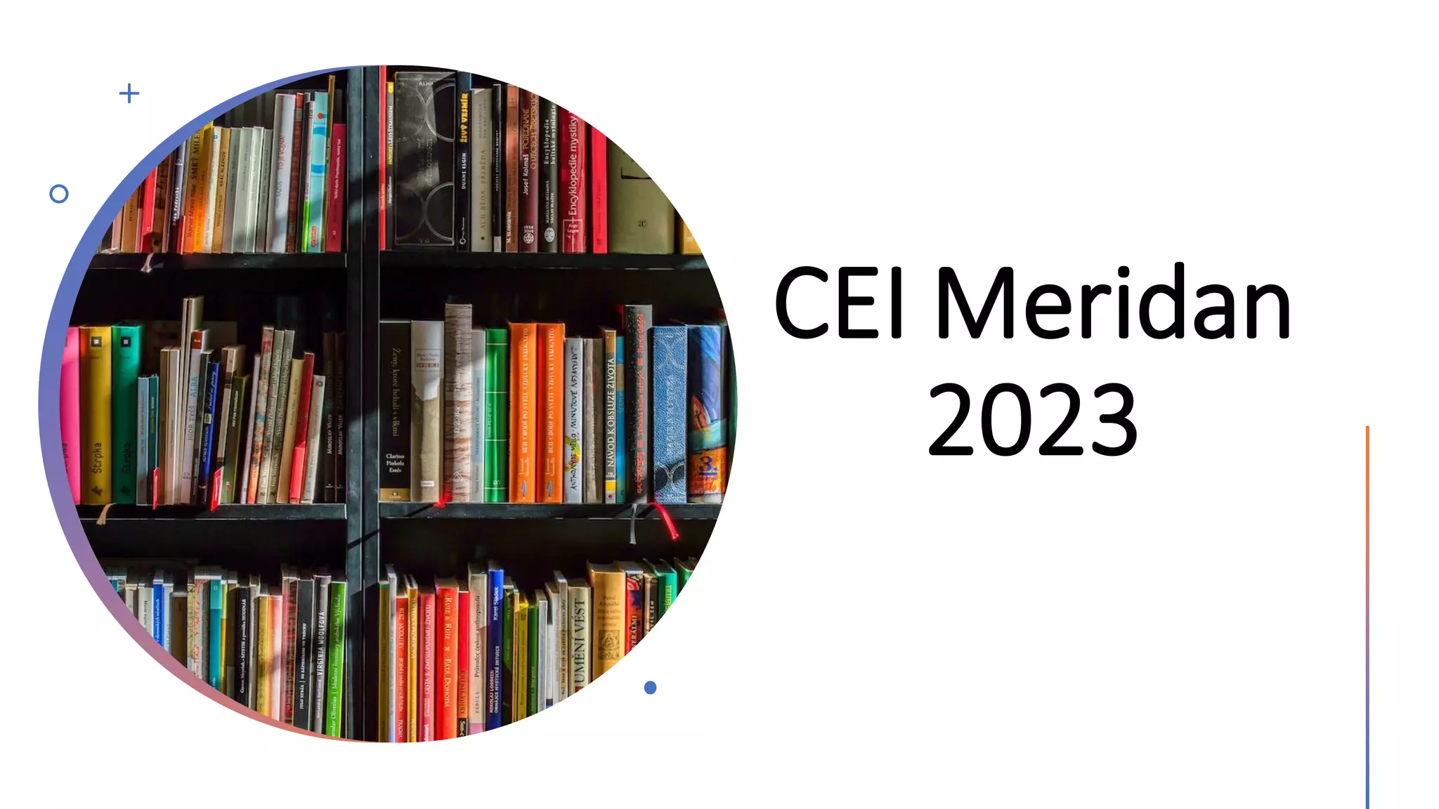 CEI Meridian 2023 | PDF