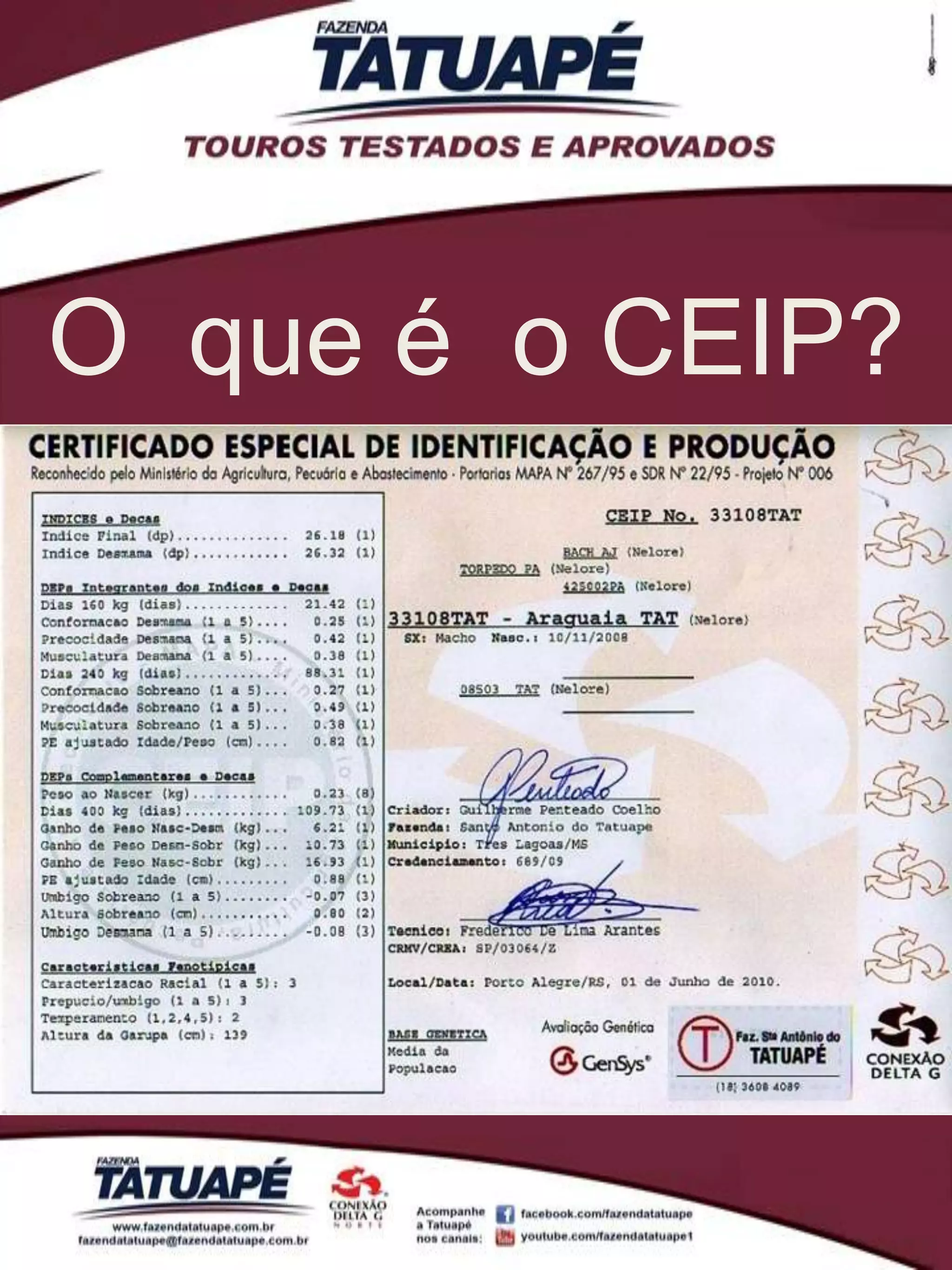 O que é o CEIP? | PPT