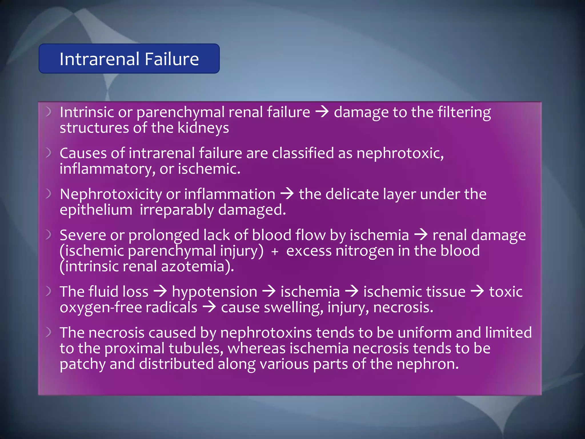The Pathophysiology Of Acute Renal Failure | PPTX