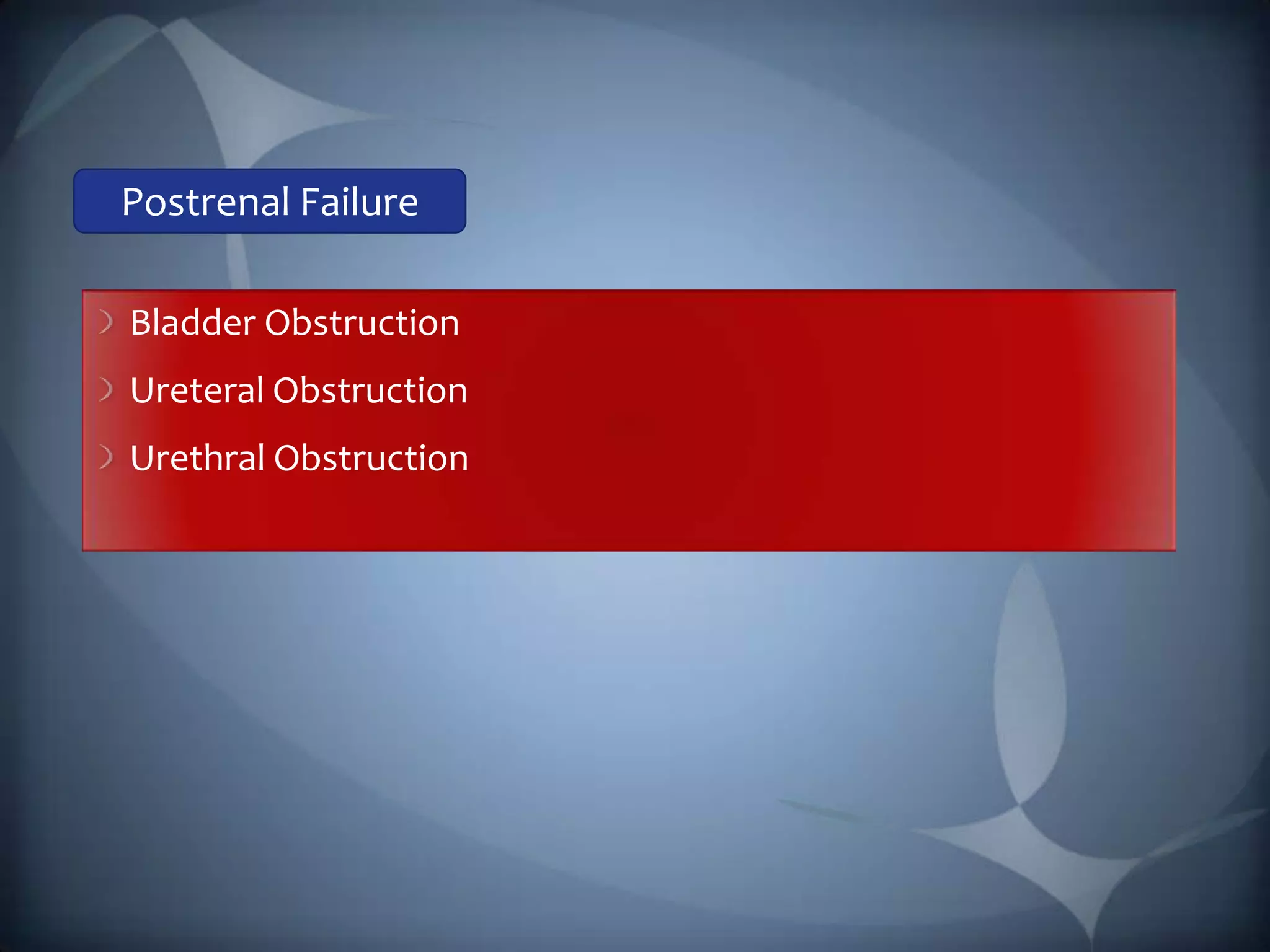 The Pathophysiology Of Acute Renal Failure | PPTX