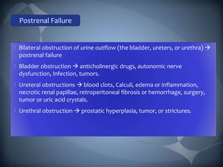 The Pathophysiology Of Acute Renal Failure | PPTX