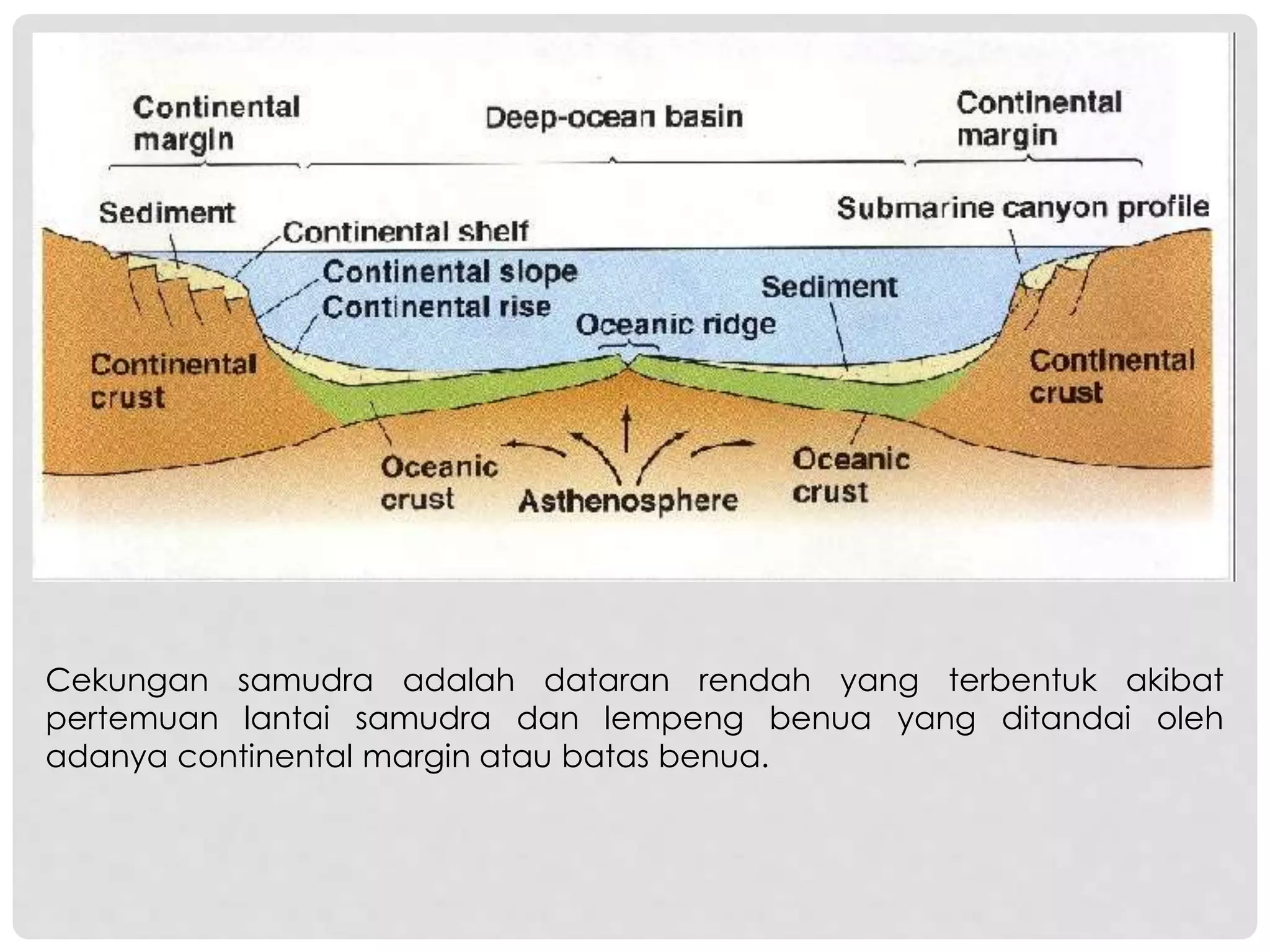 Cekungan samudra dan litologi batuan lempeng samudra | PPSX