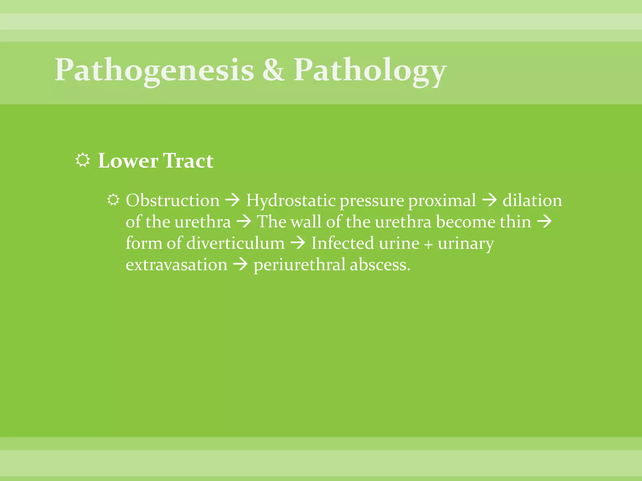Urinary Tract Obstruction | PPTX