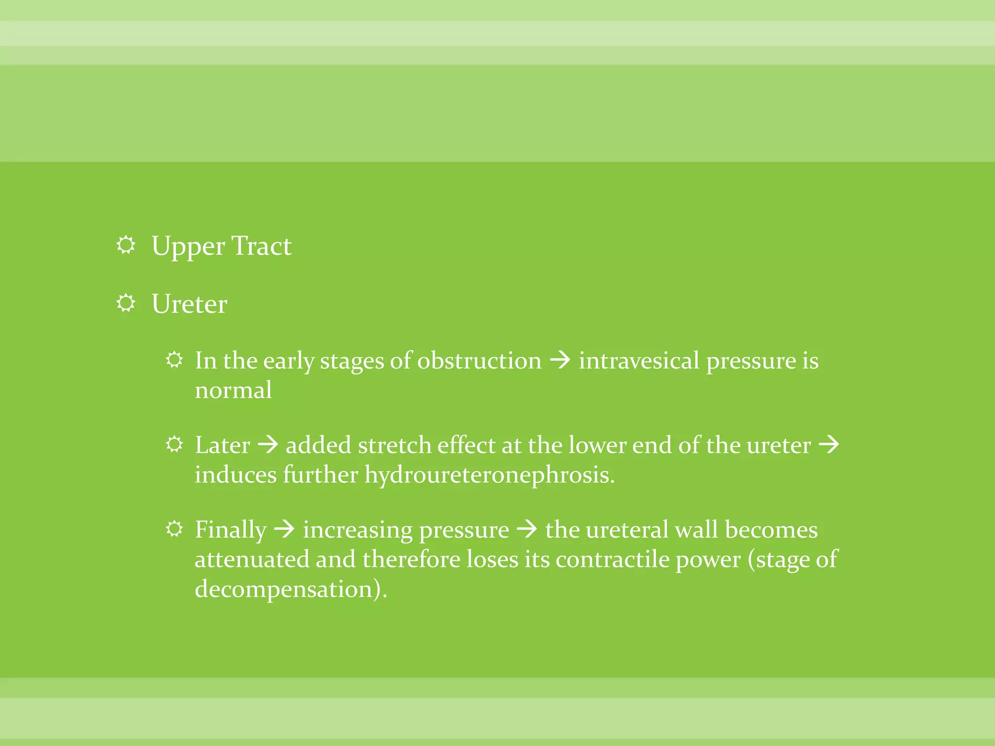 Urinary Tract Obstruction | PPTX