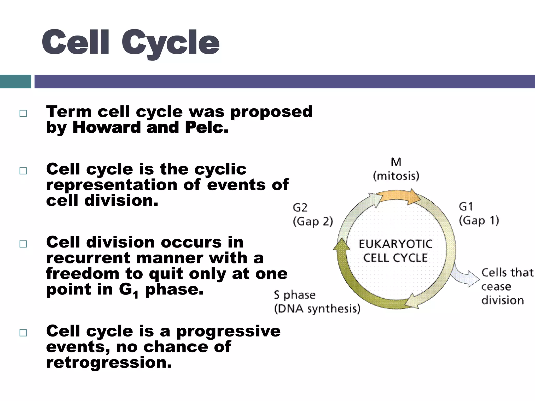 Cel cycle and its regulation | PPTX