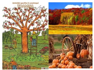 Cele 4 anotimpuri | PPTX