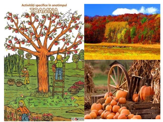 Cele 4 anotimpuri | PPTX