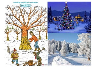 Cele 4 anotimpuri | PPTX