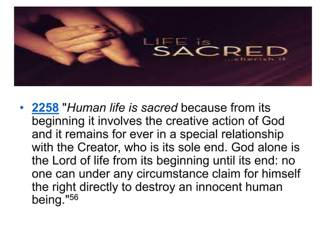 Celebrating-Gods-Creative-Gift-of-Life.pptx | Parenting Babies and ...