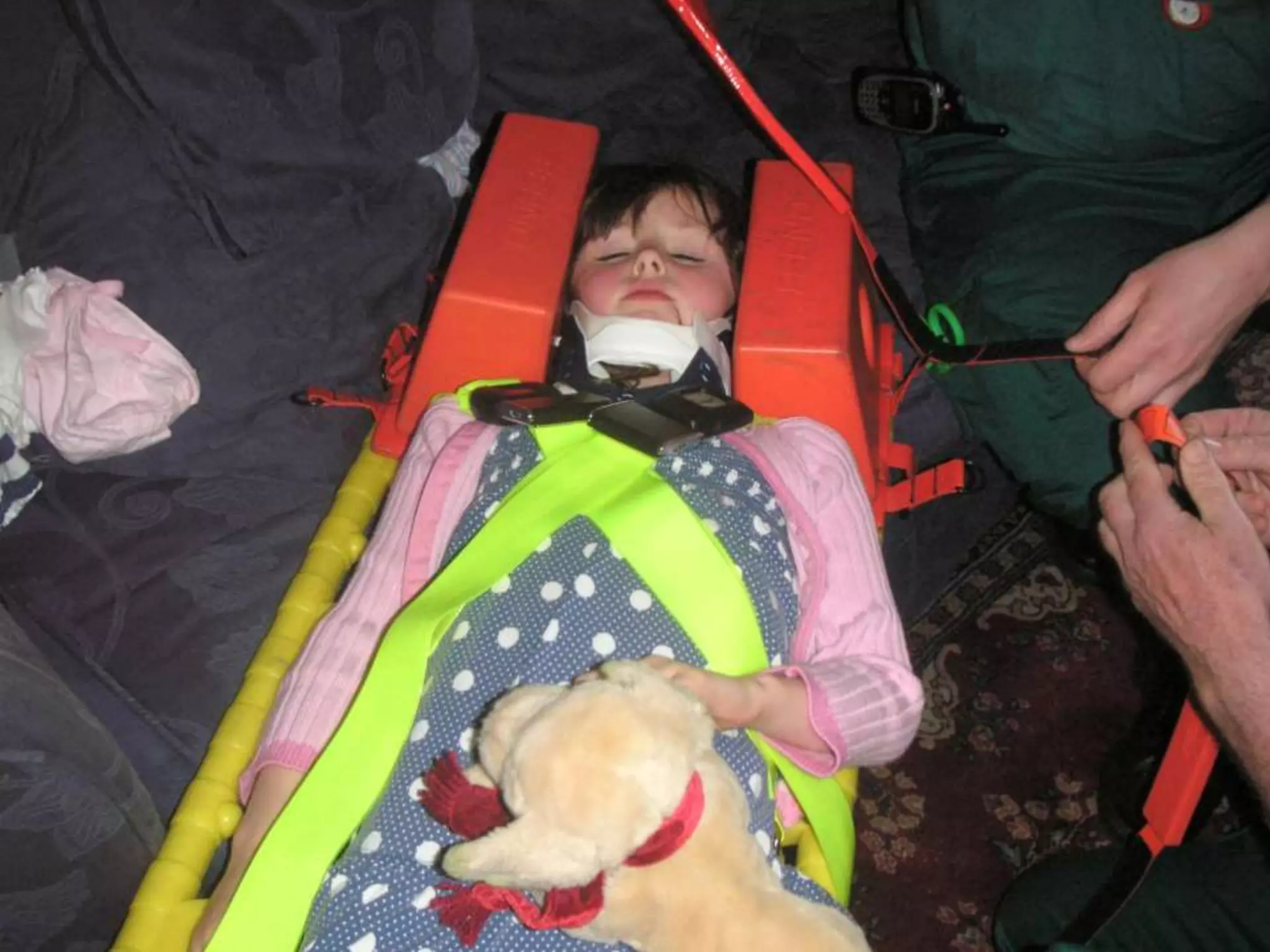 Celebration day damian roland presentation | PPT