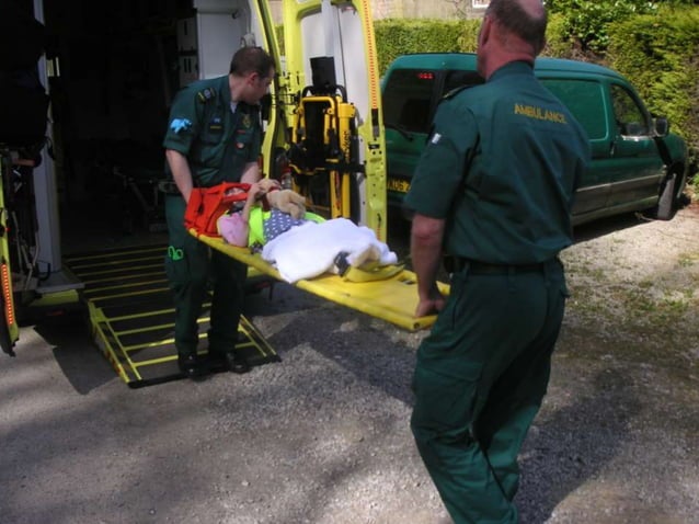 Celebration day damian roland presentation | PPT