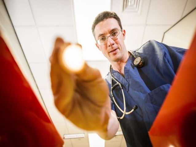 Celebration day damian roland presentation | PPT